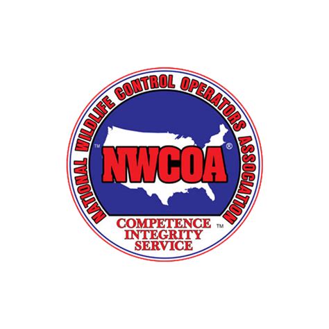 Identifying Rodent Bite Marks Critter Stop