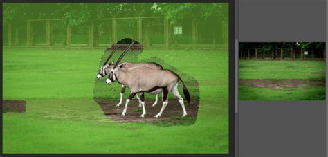 Easy Ways To Use Content Aware Fill In Photoshop