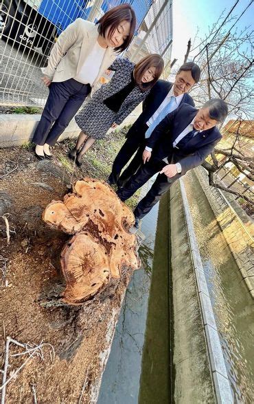 特定外来生物 クビアカツヤカミキリ 八尾市議会公明党