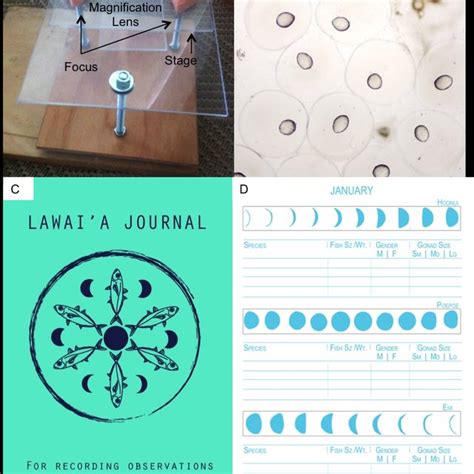 Monitoring Tools For Community Based Spawning Season Assessments A