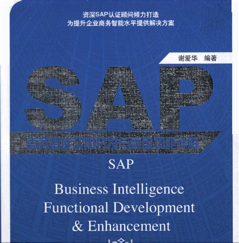 中文版 sap商务智能实用开发与高级功能详解 共415页 2015年编著 原版pdf 带索引书签目录 开源资料库
