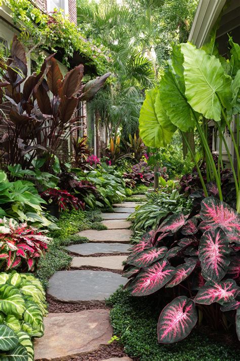 38 Tropical Garden Designs