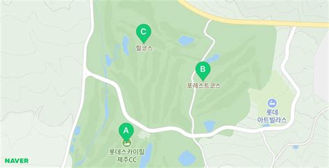 롯데스카이힐제주cc 포레스트 힐 코스 리뷰 네이버 블로그