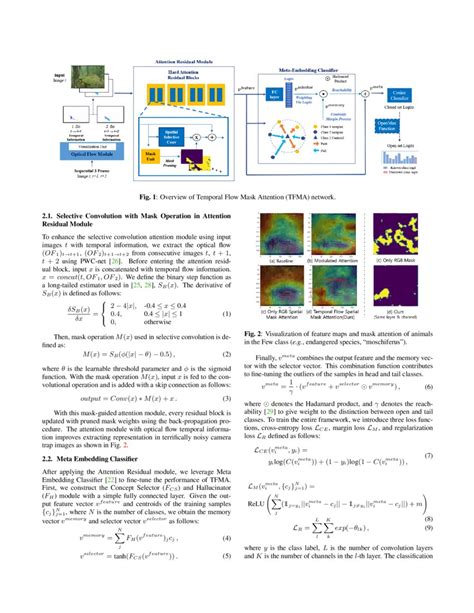 temporal flow mask attention for open set long tailed recognition of