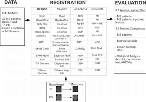 Registration Pipeline Overview Longitudinal Registration For All The Download Scientific