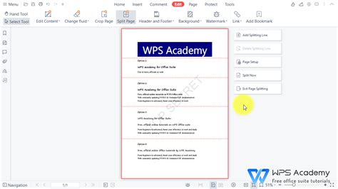 How To Use Pdf Editor To Split Page In Wps Office Wps Office Academy