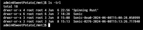 What Are These Empty Directories Under Mnt Truenas General