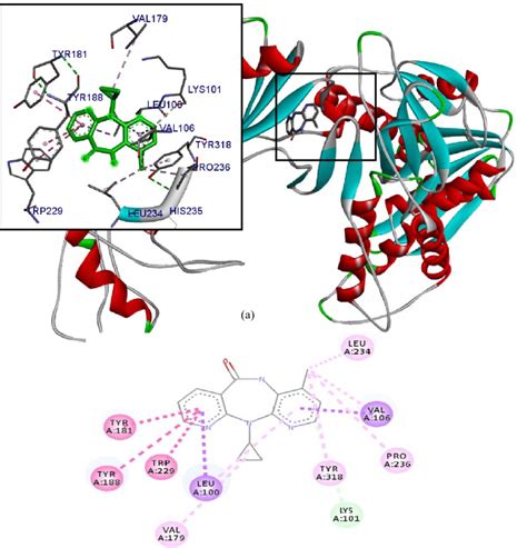 Docked Poses Of Andrographolide With Hiv 1 Rt Enzyme A Cartoon