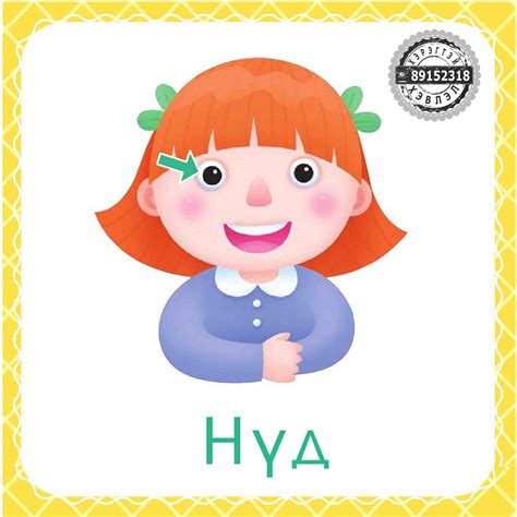 Хэрэгтэй Хэвлэл Хөгжүүлэх үйл ажиллагаа Бие эрхтэн таниулах