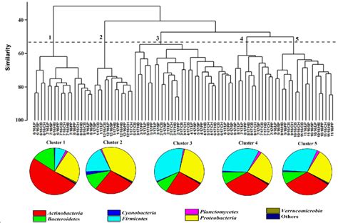 upgma tree showing cluster results based on bray curtis similarity of