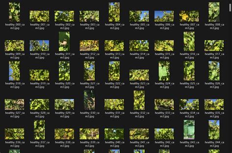 探险家的数据窝 数据是第一生产力