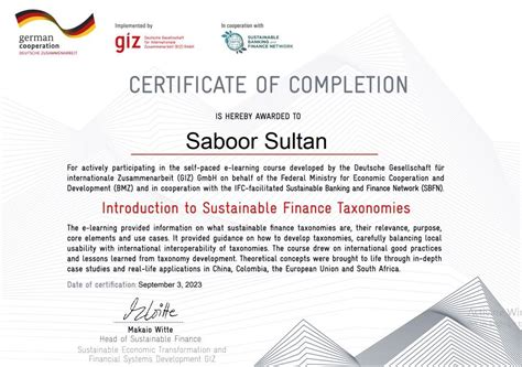 Sustainability Finance Taxonomy Sustainablefinance Unitednations