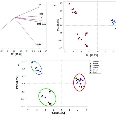 Principal Component Analysis Of Olive Samples From Five Cultivars