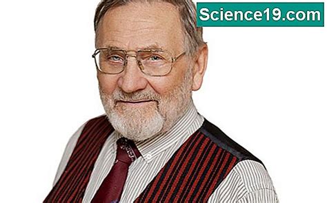 Ökosüsteem Määratlus Tüübid Struktuur Ja Näited 💫 Teaduslikud Ja