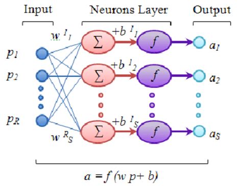 One Layer Network With R Inputs And S Neurons Download Scientific