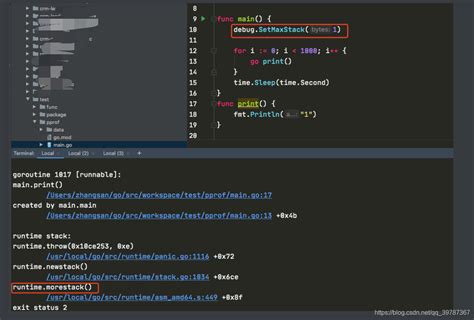 Golang Debug包debugfreeosmemory Csdn博客