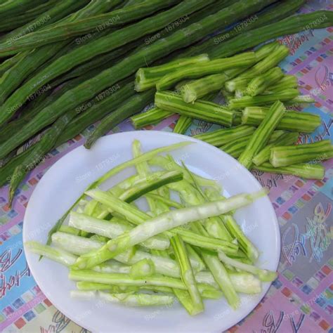 Продвижение многолетнее дерево моринга Флорес здоровое растение пища здоровые продукты Редкие