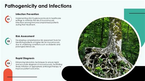 Mucor Rhizopus Ppt Structure Acp Ppt Template