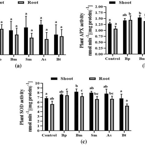 Biochemical Characterization Of Wheat Root And Soot Treated With Five Download Scientific