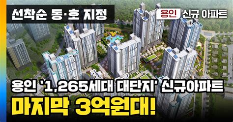 타입안내