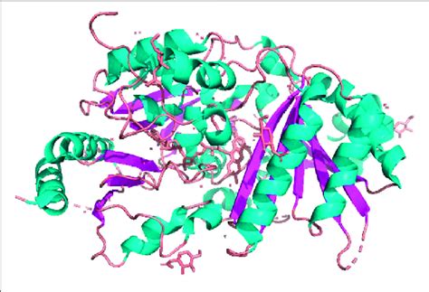 Structure Of Thca Synthase By X Ray Crystallography Download