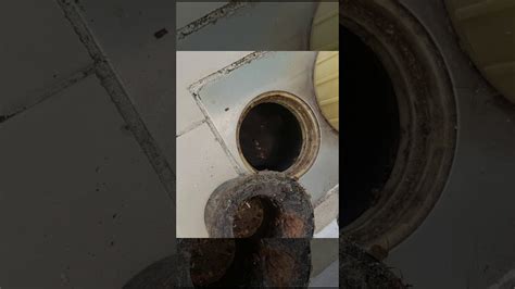하수구냄새차단 및 우수관냄새 세탁실냄새 싱크대냄새 Youtube