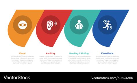Vark Learning Styles Infographics Template Vector Image