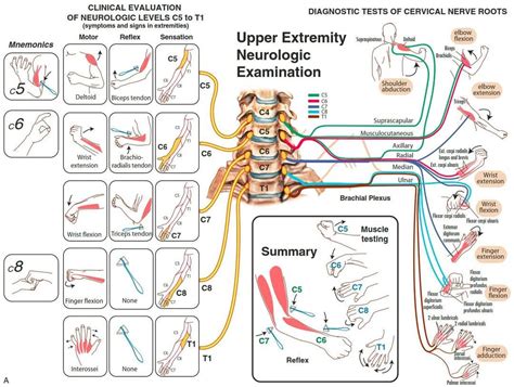 Great Overview Of Lower And Physical Therapy E Learning Facebook