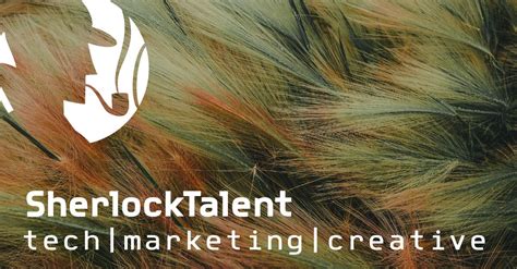 golang python for ai full stack platform engineer for cloud native ai saas… sherlocktalent