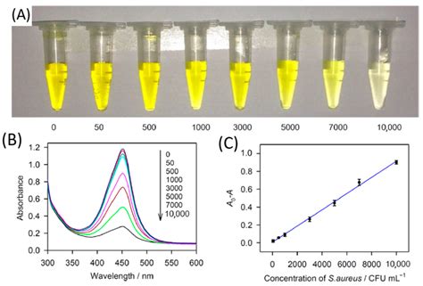 Nanodiagnostics Of Staphylococcus Aureus Selective Colorimetric Method