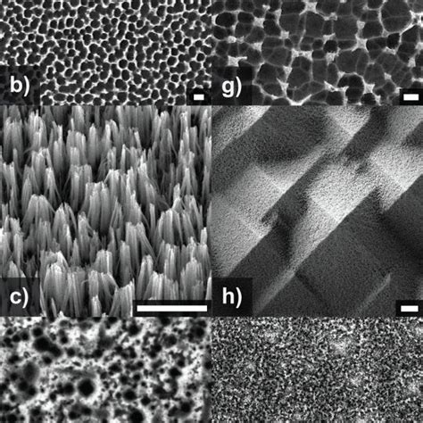 SEM Micrographs Of Structured Silicon Surfaces Showing A Silicon Download Scientific Diagram