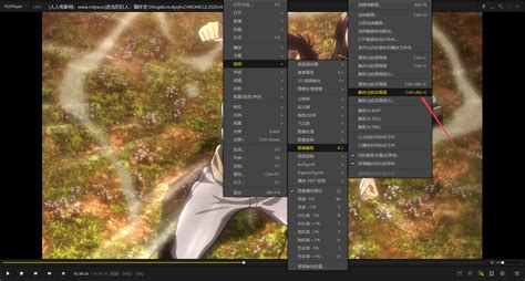 Potplayer截屏 模糊计算士 博客园