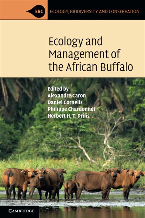 Ecology And Management Of The African Buffalo Ecology Biodiversity