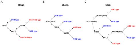 Prognostic And Predictive Biomarkers In Diffuse Large B Cell Lymphoma Pmc