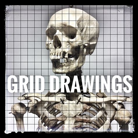 Art Human Skeleton Photos Teaching Resources