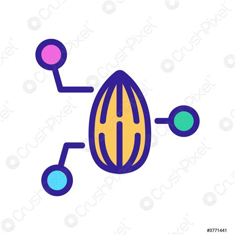 Almond Structure Icon Vector Outline Illustration Stock Vector
