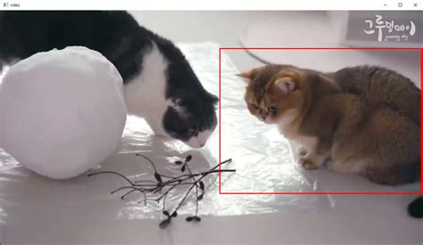 deep learning 6 객체인식모델 yolov5