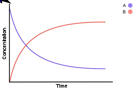 Difference Between Steady State And Equilibrium Psiberg
