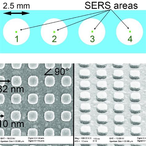 Dissociation Constants Of Complexes Aptamer Virus The Constants Of Download Scientific Diagram