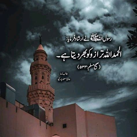 Usama Tariq Posted On Linkedin