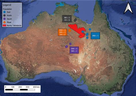 Karyotype Variation Within V Acanthurus Collections Based On