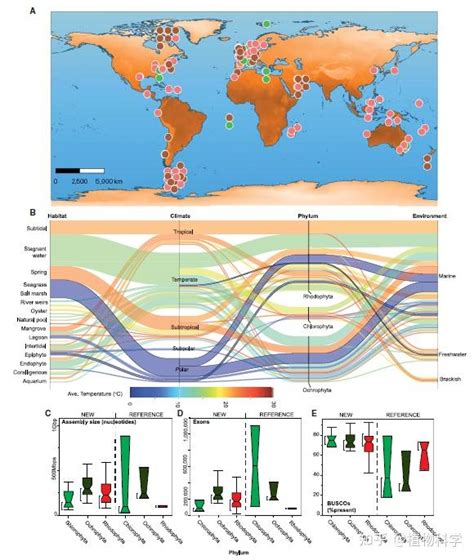 阿联酋科学家通过大规模基因组测序揭示海洋中大型藻类的进化轨迹 知乎