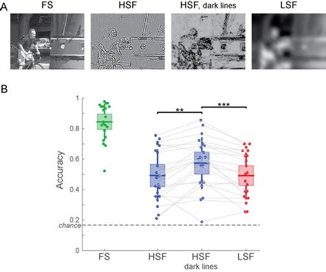 A Example Stimuli For Experiment 3 B Accuracy Of Scene Download Scientific Diagram