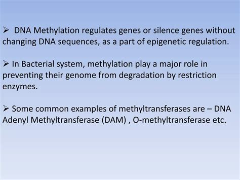 Dna Methylases And Topoisomerases Pptx