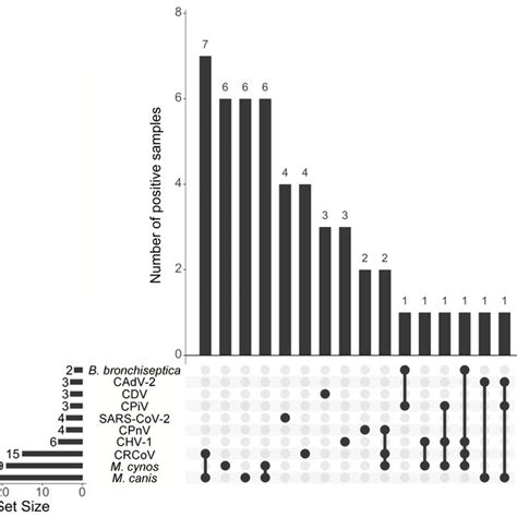 Upset Plot Summarizing The Number Of Cirdc Pathogens And Sars Cov 2