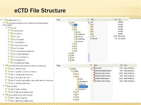 Technical Report Formats Templates Technical Report Writing