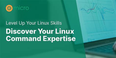 Top 50 Linux Commands Quiz Test Your Linux Knowledge Dg Micro