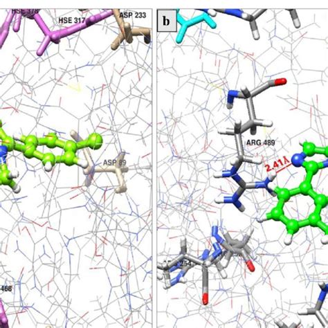 Binding Mode Of Compounds 2 A And 10 B With Target Enzyme Cyp51