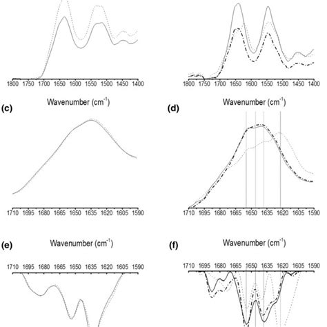 The SEC Chromatogram Of Catalase Monomer Peak Is Representing The Protein Download Scientific