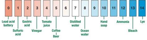 9th Bio Cumulative Test PH BUFFERS Diagram Quizlet